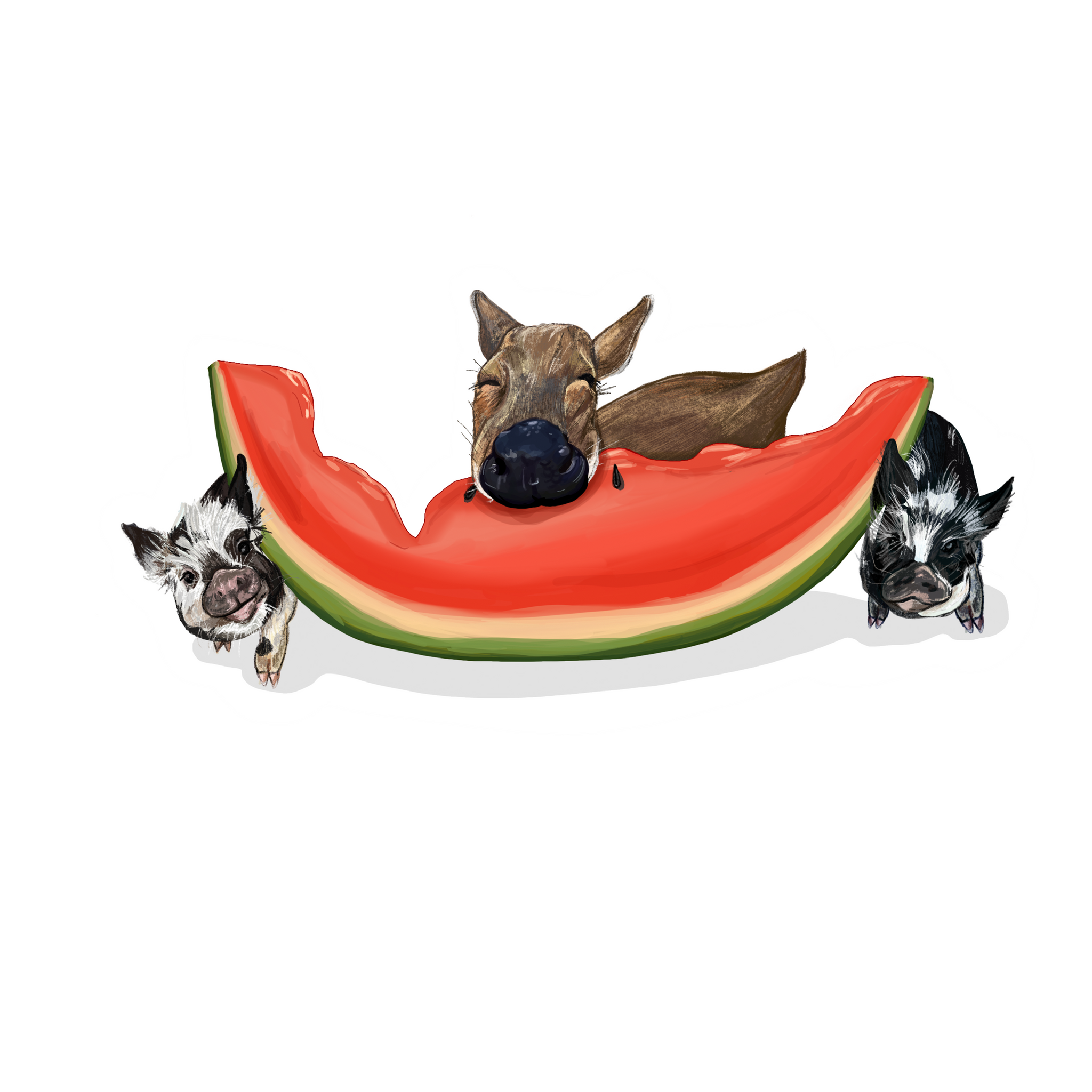 Jason, Jennifer & Fern Watermelon Sticker – Knuckle Bump Farms